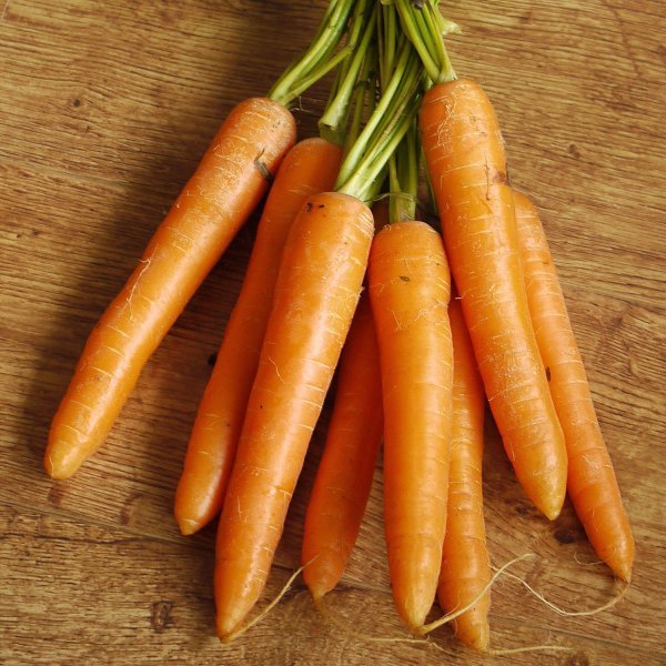 Морков Берликумер